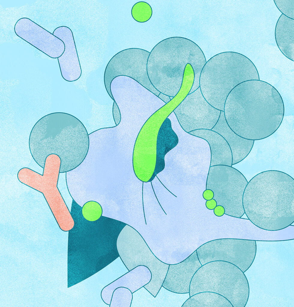 Verb LABS™ | Verb Biotics