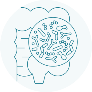 Keystone Postbiotic | Verb Biotics