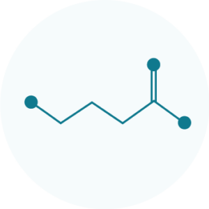 GABA Probiotic | Verb Biotics